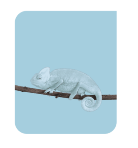 Biospringer North America - Biospringer North America