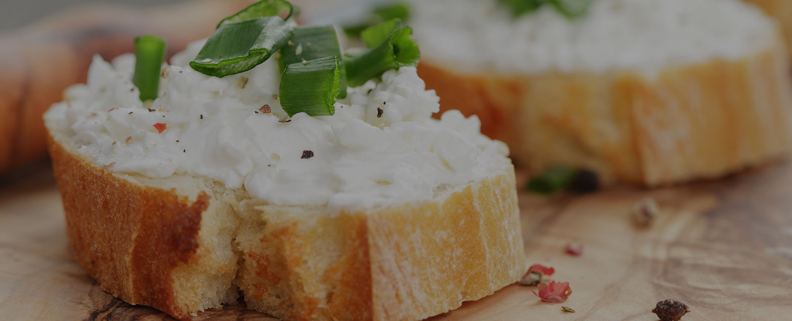 Biospringer North America - Biospringer North America